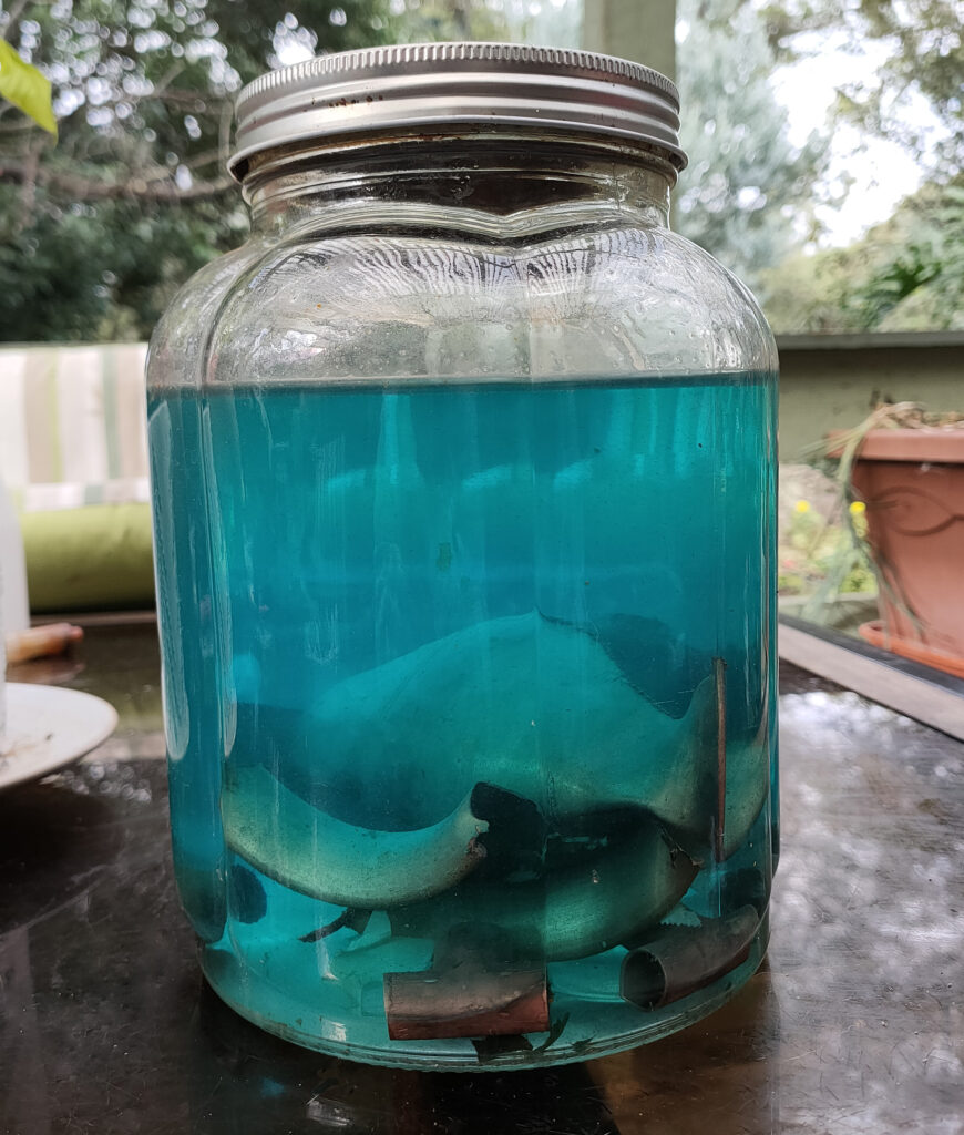 12 Months of Natural Dyeing - Dye To Craft